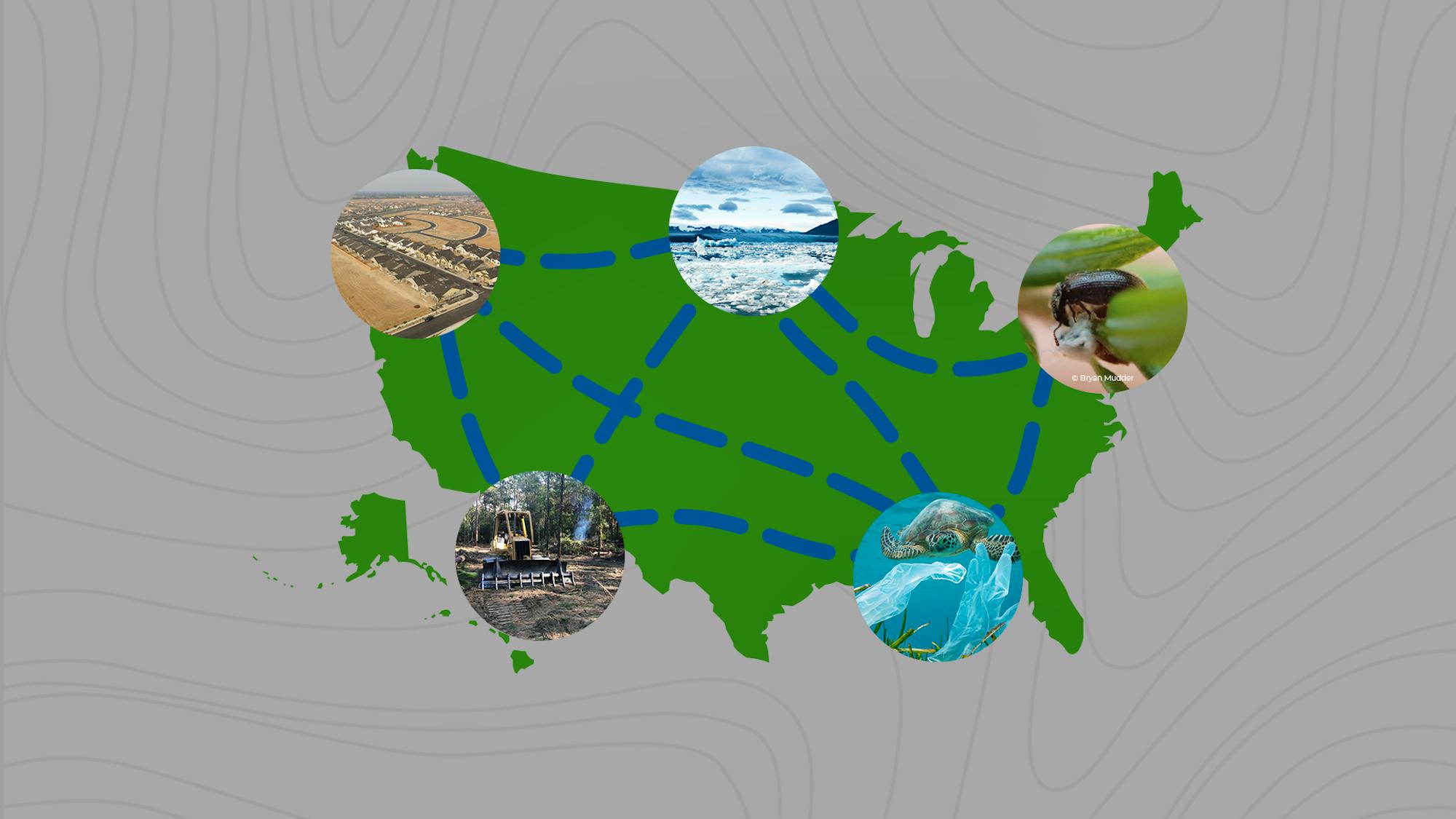 Drivers of the Biodiversity Crisis: America at a Crossroads | Defenders of Wildlife